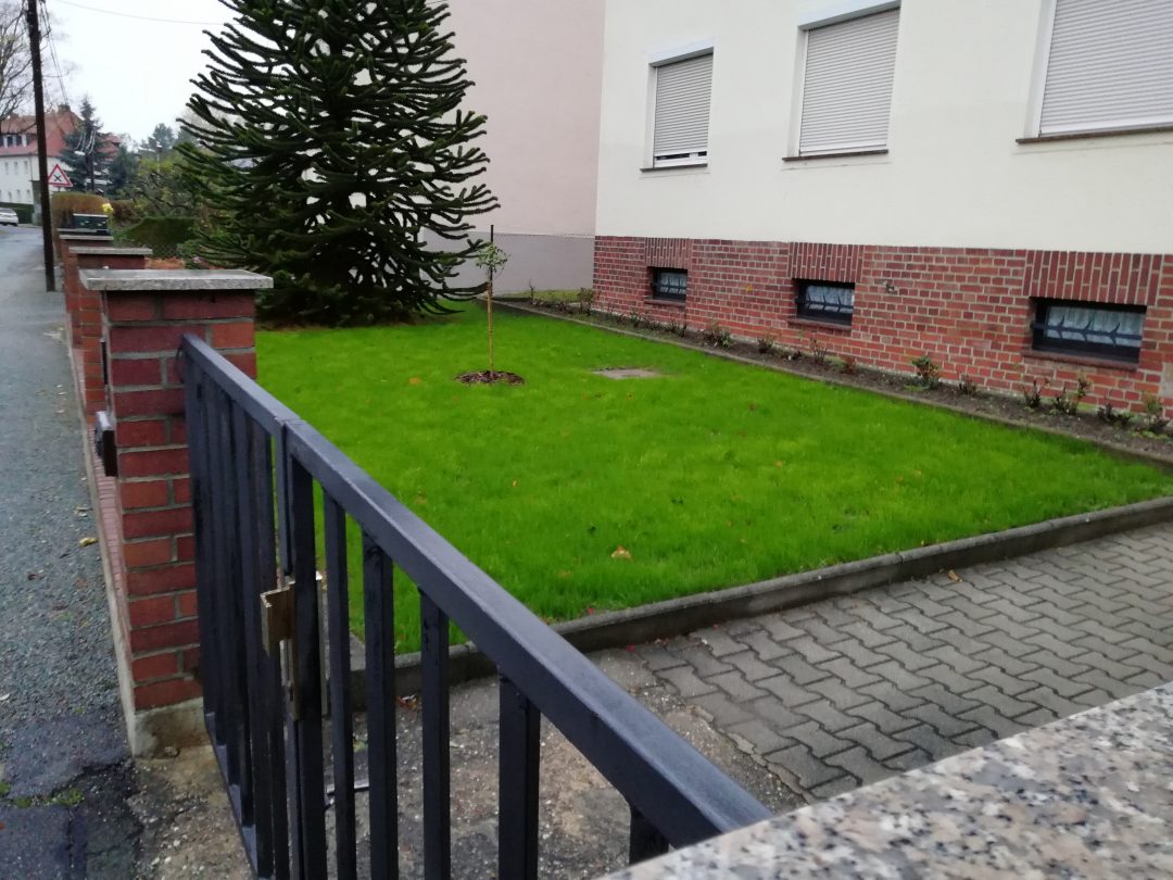 Neuanlage von Rasen im Vorgarten nachher | Baumschule Rißmann